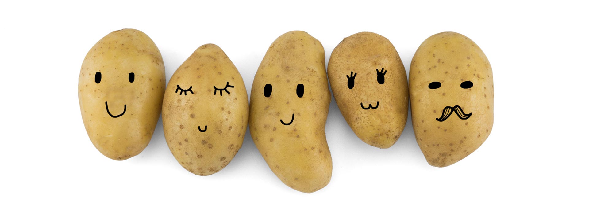 BIO = TEUER? SO GEHT GÜNSTIG UND GESUND KOCHEN!