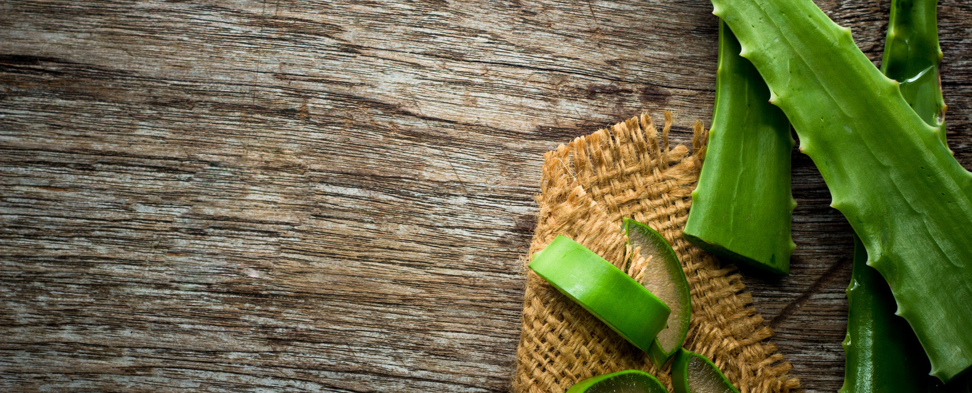 FOREVER DIRECT: HIER LAUFEN DIE FÄDEN ZUSAMMEN