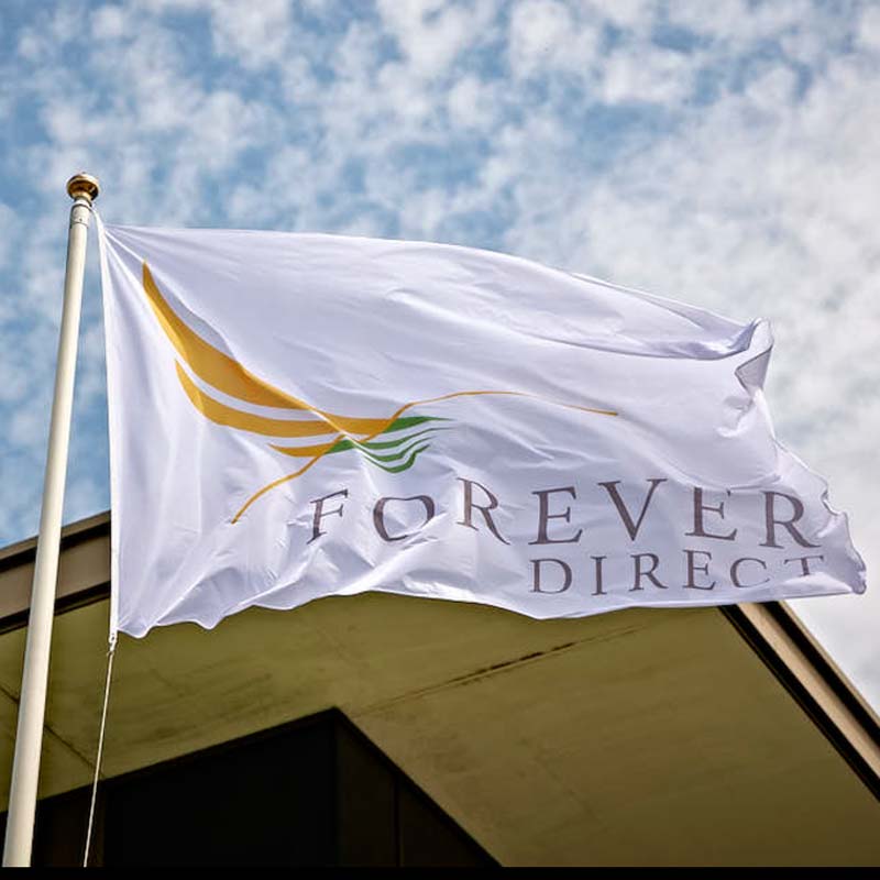 FOREVER DIRECT: HIER LAUFEN DIE FÄDEN ZUSAMMEN